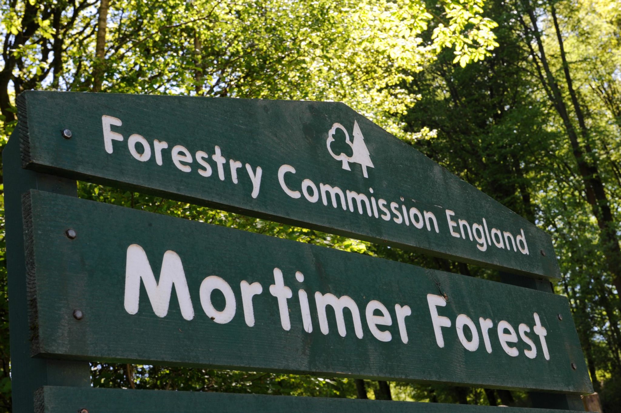 About - Friends of Mortimer Forest