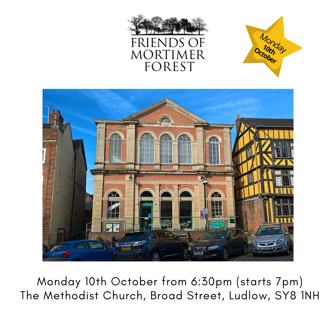 Friends of Mortimer Forest Events - Friends of Mortimer Forest