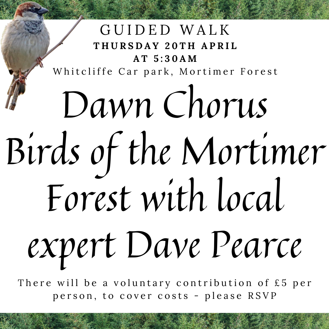 Friends of Mortimer Forest Events - Friends of Mortimer Forest