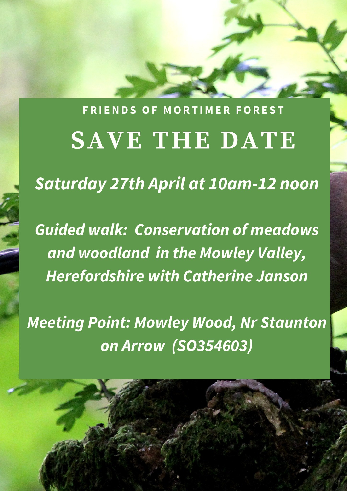 Events 2024 - Friends of Mortimer Forest